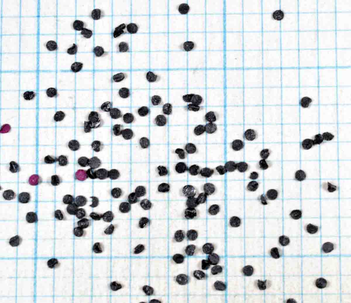 Propellant Profiles | Handloader Magazine