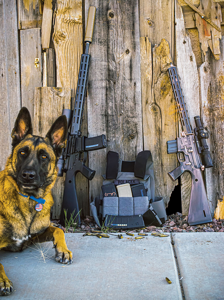 Dynamic Duo | Handloader Magazine