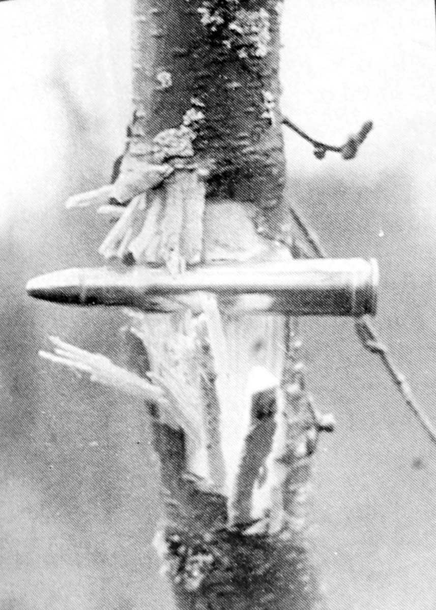 A Pair of Potent .35s | Handloader Magazine